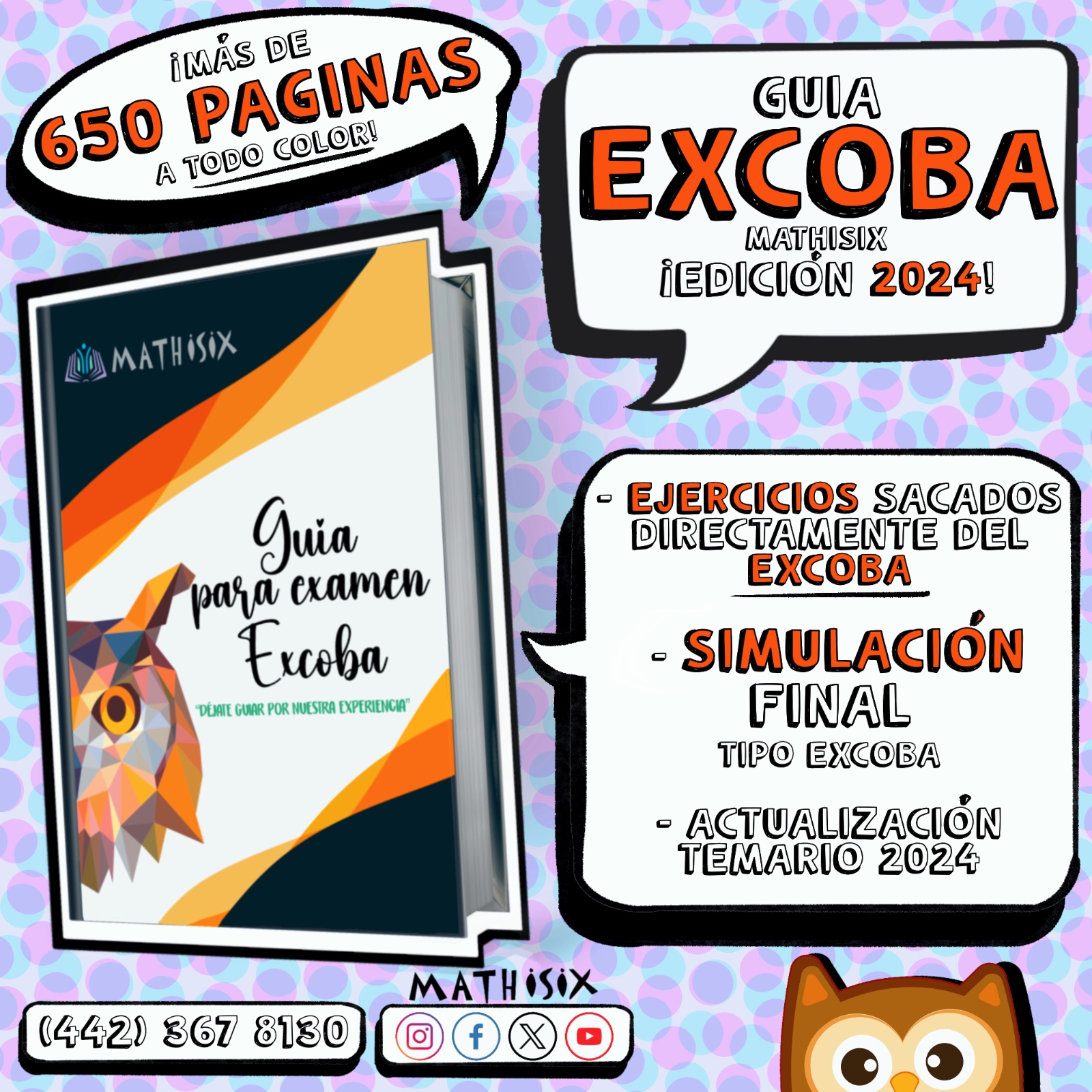 Guía Excoba - Mathisix
