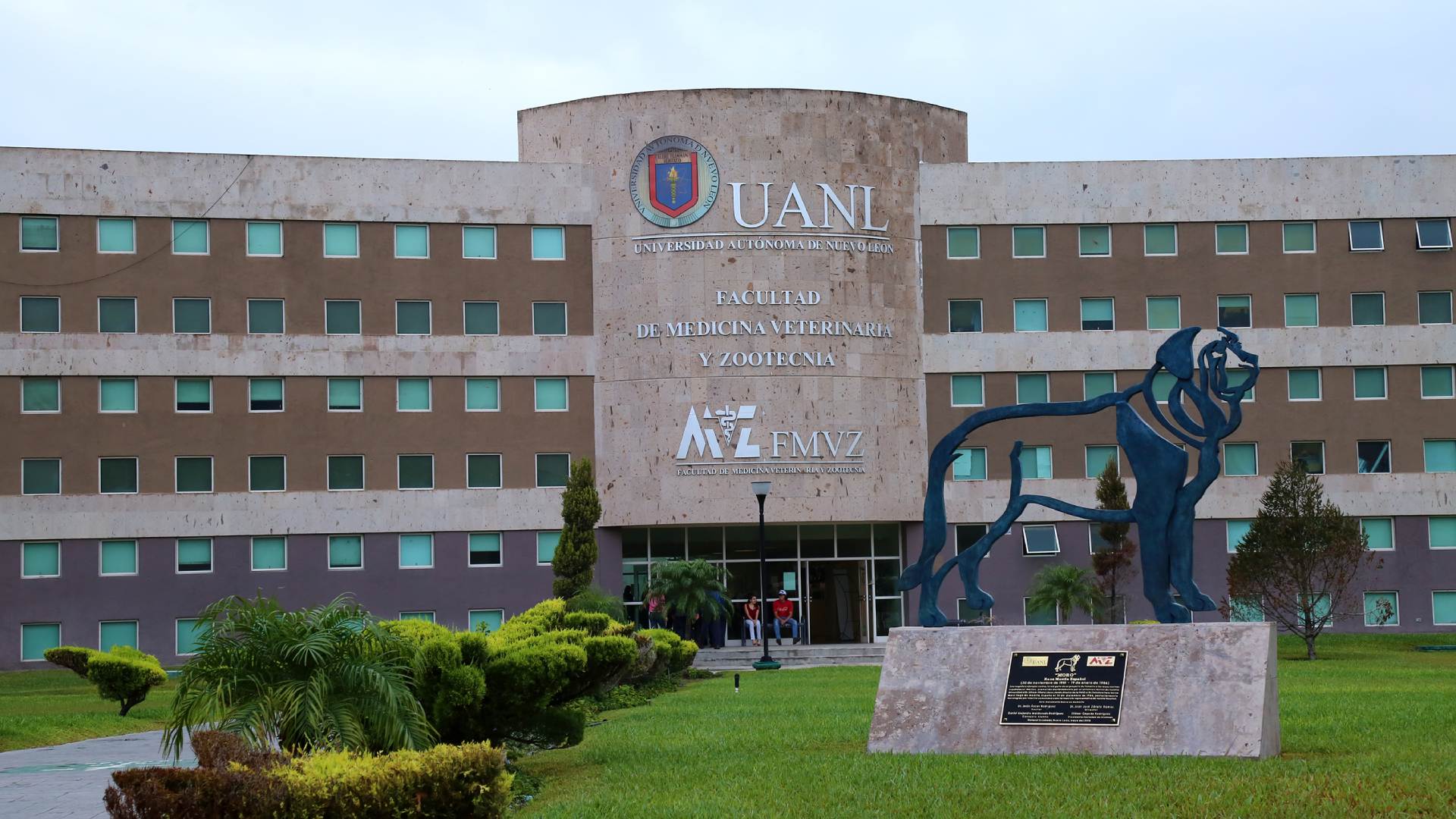 Las 5 Mejores Universidades para Estudiar Veterinaria en México - Mathisix